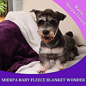 NANPIPER Baby Sherpa Blanket,Warm Toddler Throw Blanket,Soft Newborn Fleece Blanket for Winter (Purple,30x40 inches)
