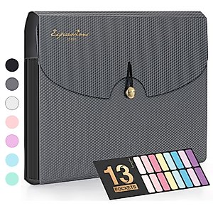 Sooez Expanding File Folder, 13 Pocket Accordion File Organizer, Monthly Expandable File Folder for Documents with Labels, Portable Bill Receipt Organizer for School Office Supplies, Letter A4 Size