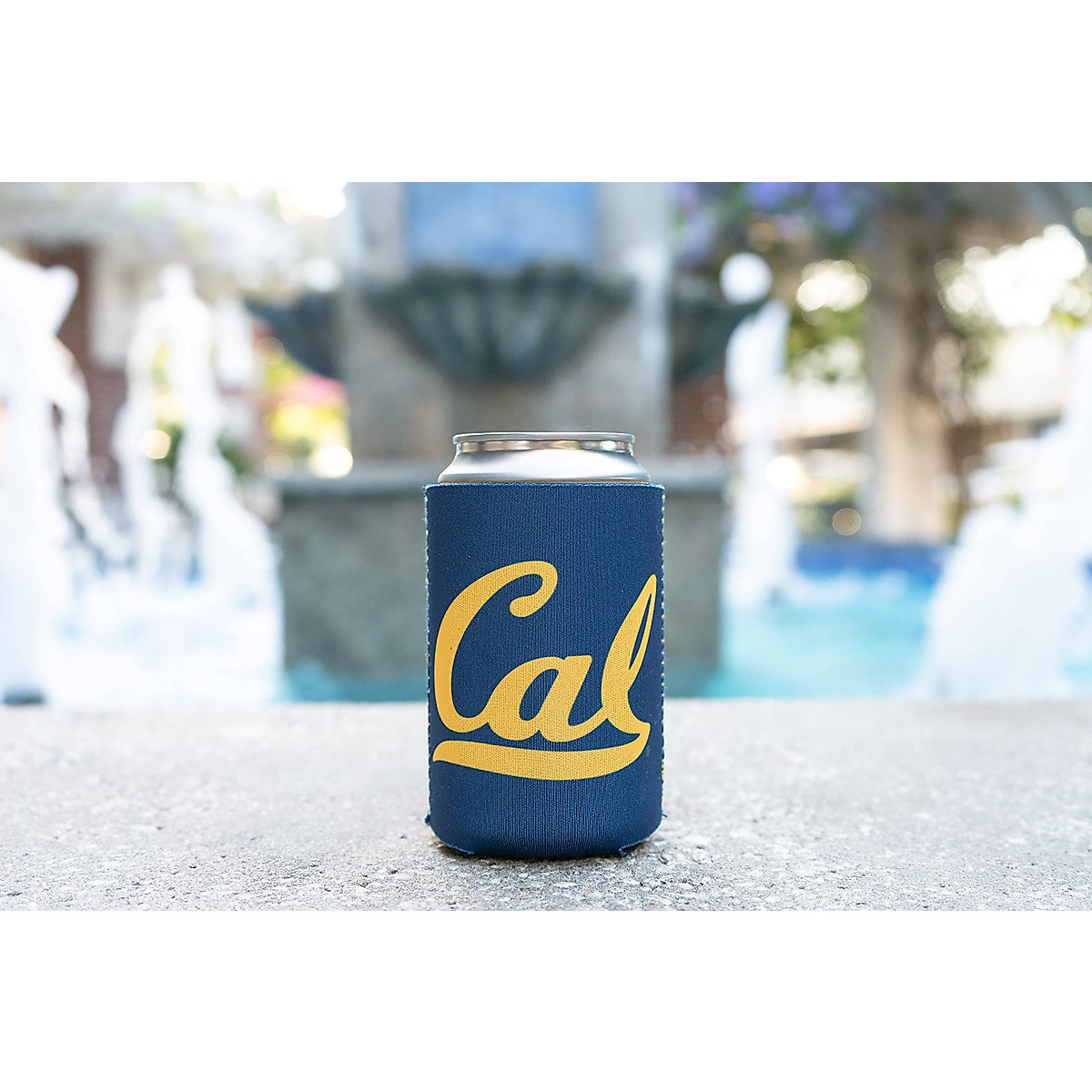 Desert Cactus Berkeley University of California Can Insulator Beverage Cooler 4 Pack Foam Beverage Holder Golden Bears Cal UC (4 Pack Can)