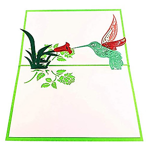 iGifts And Cards Season’s Greetings Hummingbird 3D Pop Up Greeting Card – Merry Christmas, Happy Holidays, Feliz Navidad, Joy, Hope, Unique, Special