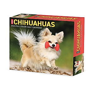 Chihuahuas 2023 Box Calendar