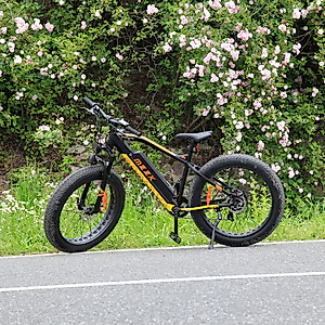 MZZK BIKE BAFAGN 750W Motor Electric Bike for Adults Fat Tire 7-Speed Powerful Mountain E-Bike with 48V Lithium Battery and Multi-Function Display, Black