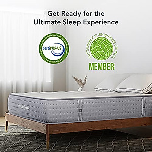 Lull The Luxe Hybrid Mattress in a Box - A Luxurious Combination of Premium Memory Foam and Individually Wrapped Springs (Queen)
