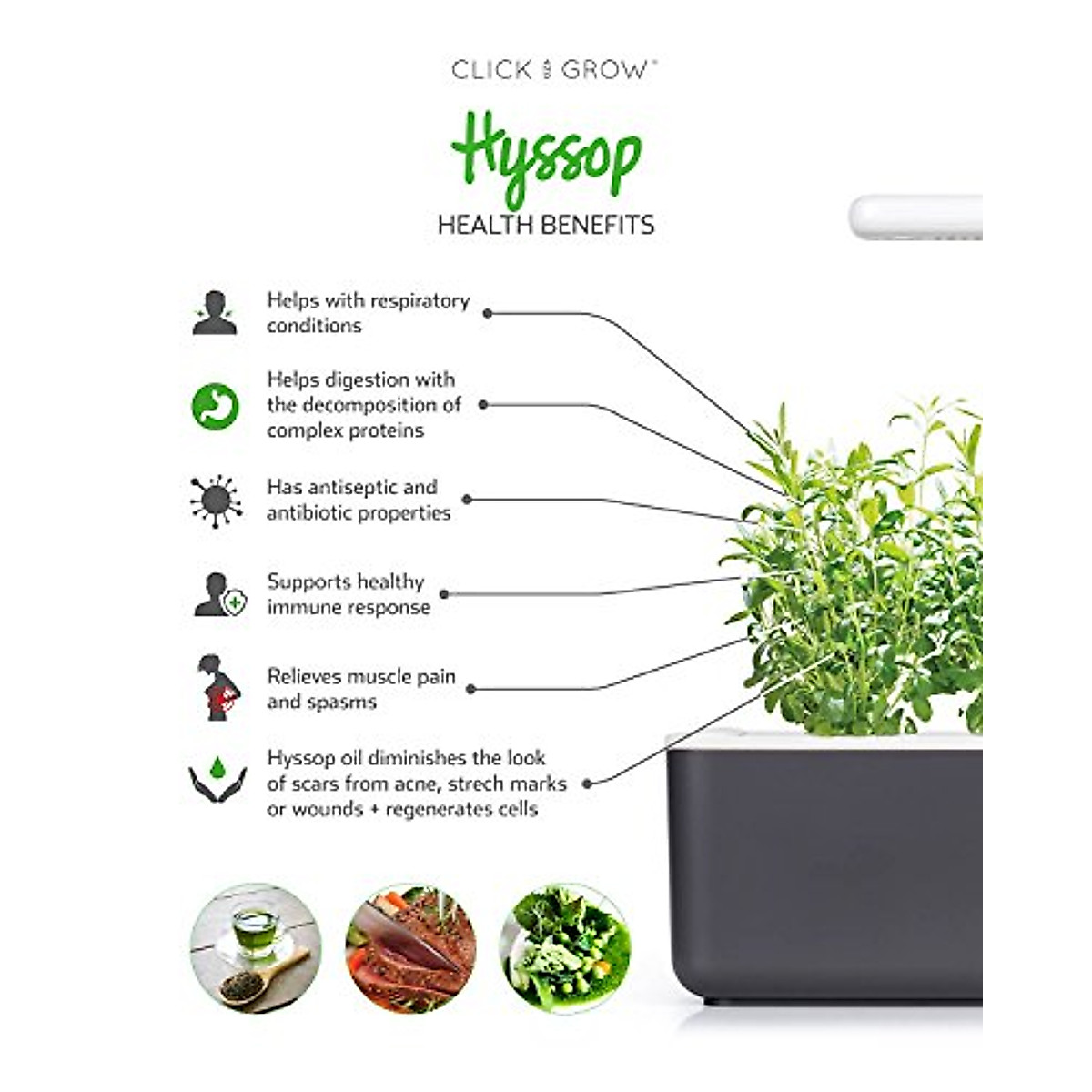 Click and Grow Smart Garden Hyssop Plant Pods, 3-Pack