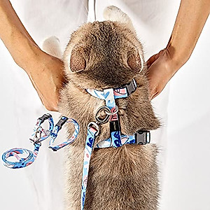 PETKIT Lightweight Cat/Small Animals Harness and Leash Set for Walking, Escape Proof, Soft, Adjustable Pet Harness for Kitten, Puppies, Rabbits