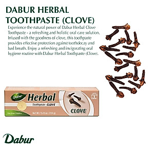 Dabur Natural Toothpaste - Refreshing Herbal Care for Oral Health - Promotes Clean, Healthy Teeth and Gums - Elevate Your Oral Hygiene Routine with Smile - Paraben Free - Enriched with Clove - 100 ML