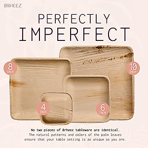 brheez Bamboo Plates made from Palm Leaf 25 Party Plates 10 Inch Eco Friendly Compostable & Biodegradable – Disposable Plates Heavy Duty and More Environmentally Friendly than Paper Plates
