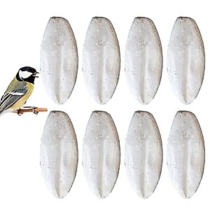 BNOSDM 8 Pack Cuttlefish Bones Natural Polished Cuttlebone for Cockatiels Birds Reptiles Turtles and Snails Cuttlefish Bone Chew Toy Bird Bites Calcium Stone 3.14-3.93 Inches