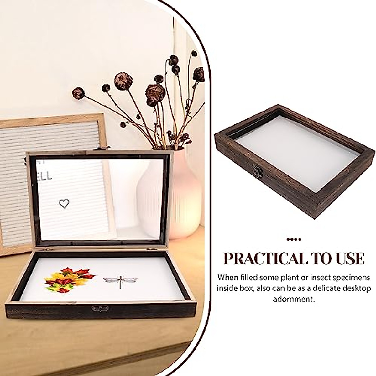 Cabilock Insect Display Case Wooden Bug Collection Box with Clear EVA Top Insect Shadow Box Insect Specimen Storage Box for Home
