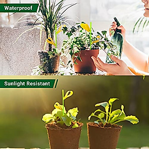 60PCS Yellow Sticky Traps for Gnats Fungus Gnat Traps for House Indoor Fruit Fly Traps for Indoor/Outdoor Catcher for Whiteflies Mosquitoes Thrips Aphids. Stake Holders Included Dual-Sided