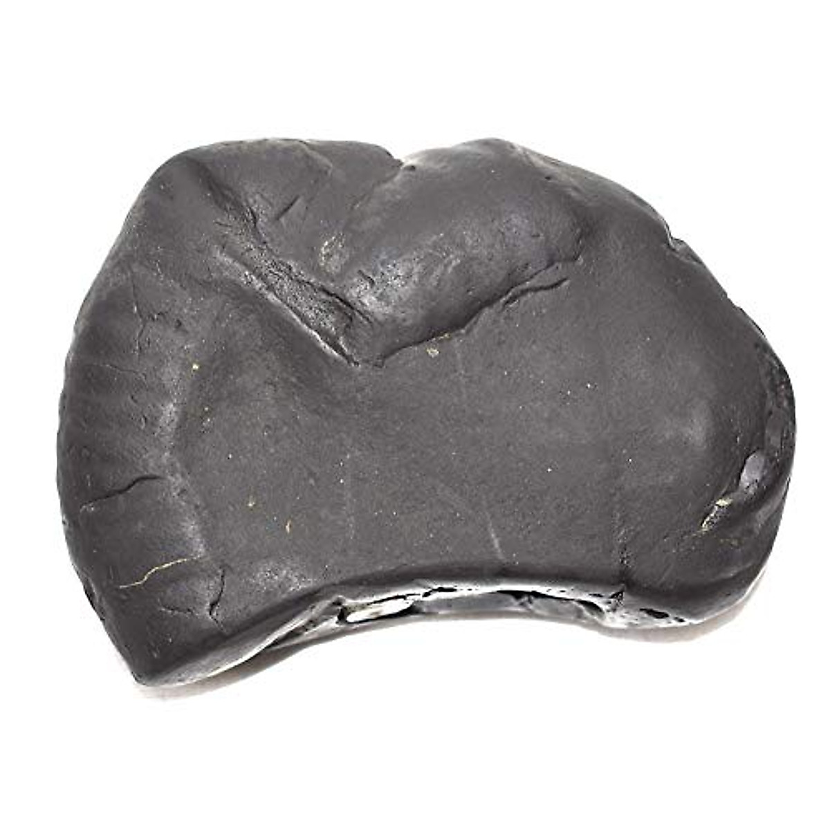 Rudrakshguru Krishna Shaligram/Madana Gopala Salagram - Gandaki River Nepal