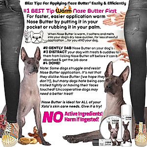 The Blissful Dog Xoloitzcuintli Nose Butter, Versatile Dog Nose Balm for Dry Nose, Handcrafted Nose Moisturizer, Easy-to-Apply Dog Essentials, Unscented, 0.15 oz.