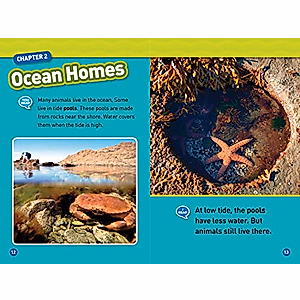 In the Ocean (National Geographic Kids Readers, Level 1/Co-Reader)