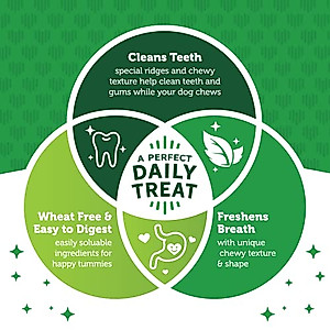 Dr. Dental Large Fresh Chews Dental Dog Treats Clear, Large-18 OZ