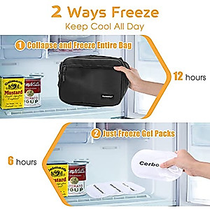 Freezable Lunch Bag,Lunch Box with Ice Packs,Small Cooler Lunch Box with Detachable Ice Packs,Small Insulated Cooler Bag,Freezable Lunch Bags with Durable Zippers,Freezable Lunch Box For School/Work