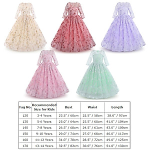 Toddler Baby Little Big Girls High-Low Vintage Ruffle Lace Embroidered Tutu Dress for Kids Pageant Wedding Bridesmaid Formal Flower Princess Birthday Party Maxi Gown Wine Red 9-10 Years