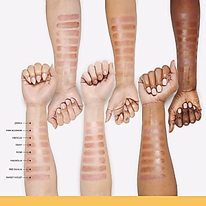 Burt's Bees Lip Balm Easter Basket Stuffers, Tinted Moisturizing Lip Care Spring Gift for Women, for Dry Lips, 100% Natural, with Shea Butter, Hibiscus (2 Pack)