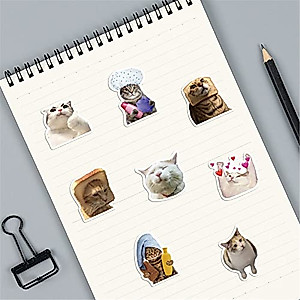 200 Pcs Cute Cat and Dog Stickers, Cat Funny Meme Waterproof Stickers,Vinyl Stickers for Water Bottle,Laptop,Phone,Skateboard Stickers for Kids Aldult Teens Girls (CDE)