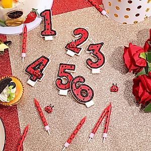 Herdear Ladybug Number 1-9 Birthday Cake Candle Numeral Birthday Candles Birthday Decorations Black Red Polka Dots Ladybird Dots Ladybug Theme Candles for Birthday Party Baby Shower (Number 5)