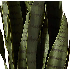 Nearly Natural, Green 4855 35in. Sansevieria with Black Planter