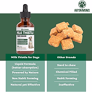 Milk Thistle for Dogs | Supports Liver and Kidney Health | Milk Thistle for Dogs Liver Support | Dog Milk Thistle | Dog Liver Support | Dog Liver Supplement | Milk Thistle Supplement for Dogs | 1 oz
