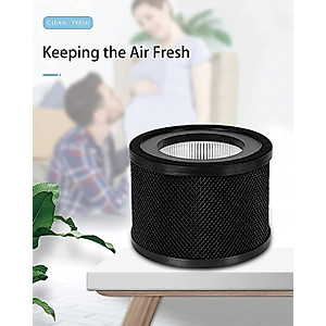 2-Pack TT-AP001 Filter Replacement for TT-AP001, VAVA VA-EE014 Air Purifiers, H13 True HEPA Filter, Replace TT-AP001SPF