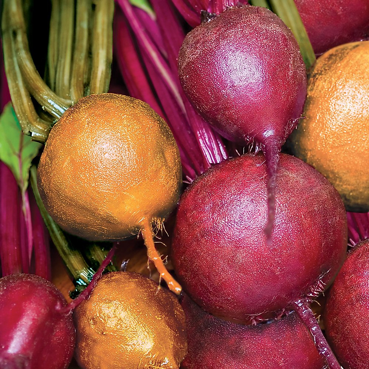 Burpee Cook's Custom Mix Beet Seeds 300 seeds