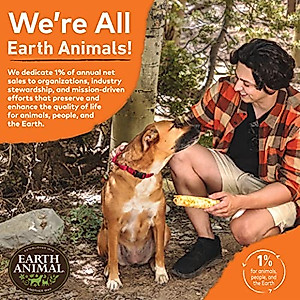 EARTH ANIMAL No Hide Small Chicken Flavored Natural Rawhide Free Dog Chews Long Lasting Dog Chews | Dog Treats for Small Dogs | Great Dog Chews for Aggressive Chewers