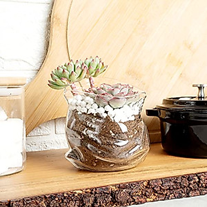 8 Ounce Glass Zipper Bag, 1 Small Glass Bag - Realistic Crinkled Edges, Serve Candy, Popcorn, or Nuts, Clear Glass Bag Bowl, Dishwashable, Flat Base - Restaurantware.