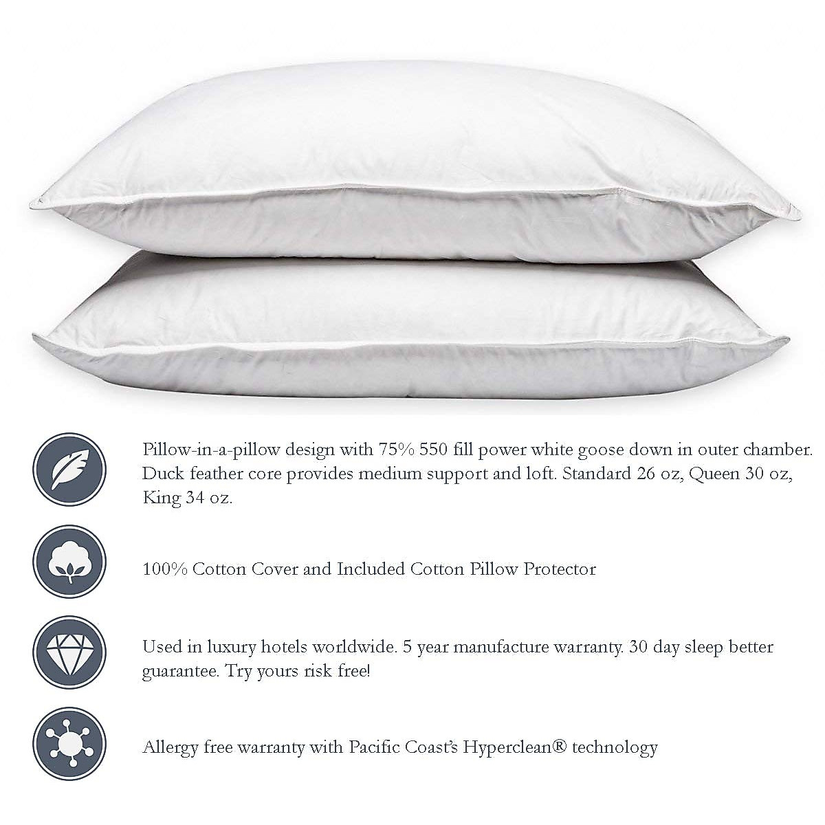 Pacific Coast Touch of Down Standard Size 2-Pillow Set with 2 Standard Size Pillowtex Pillow Protectors