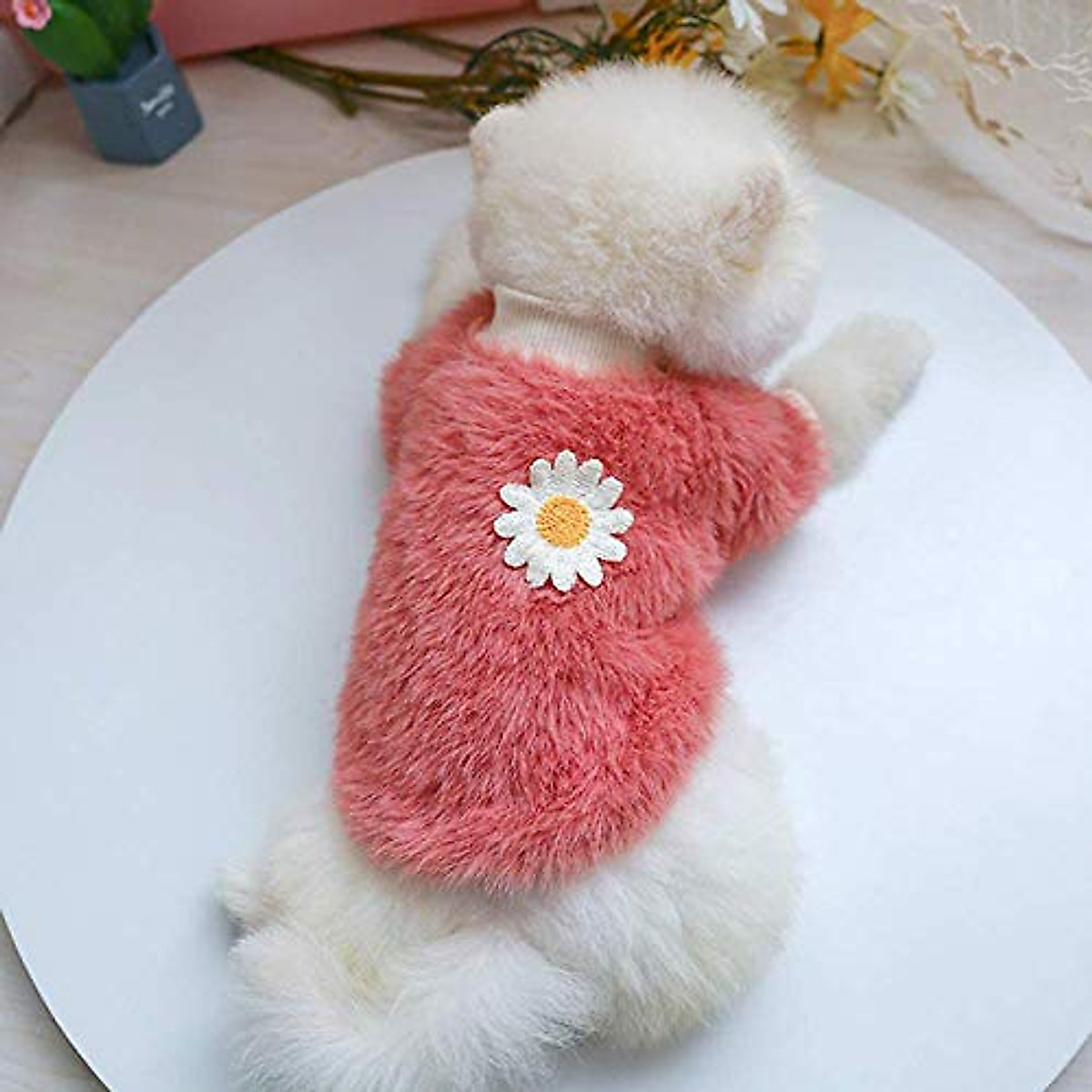 HonpraD Dog Sweater Large Size Dog Boy Sweaters Sweater Daisy Flowers Neck Small Round Style for Plush Girl Pet Clothes Dog Female Clothes Winter