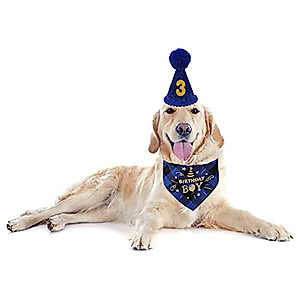 AULEGE Adorable Hat and Bandana Square Scarf for Dog Birthdays, Boy Dog Birthday Crown Hat for Small Medium Large Dog, Birthday Outfit and Decoration Supply Set, Royal Blue