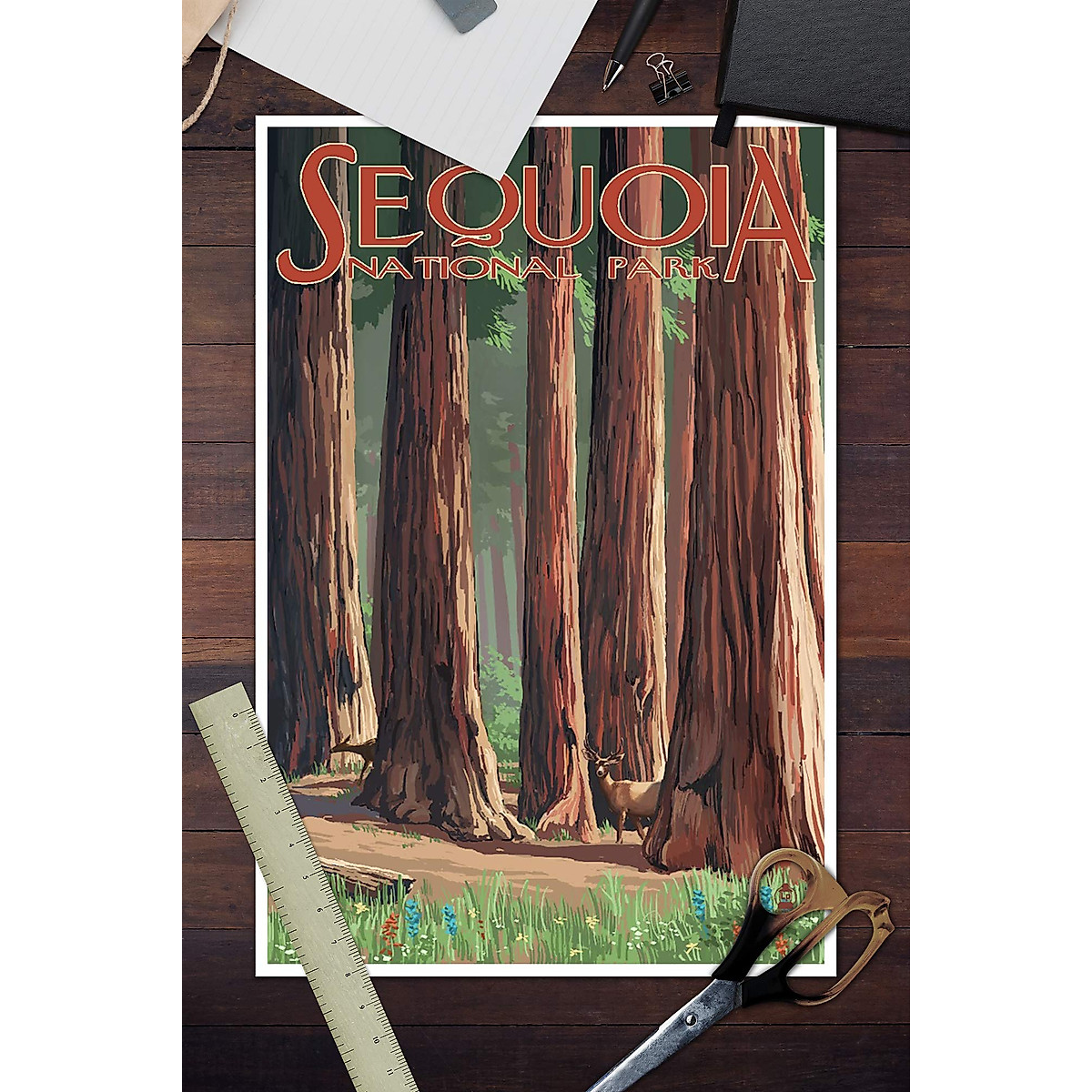 Lantern Press Sequoia National Park, Forest Grove in Spring (12x18 Art Print, Travel Poster Wall Decor)