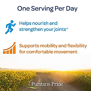 Puritans Pride Glucosamine Chondroitin Mini Tabs Tablets, 120 Count