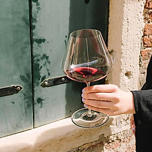 Zalto Denk'Art Burgundy Red Wine Glass Hand-Blown Crystal | Set of 2