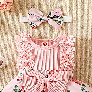 Mubineo Baby Girl Summer Clothes Outfits Sleeveless Lace Floral Romper Dress Newborn Outfit (Pink, 3-6 Months)