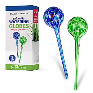 Blazin' Bison Self Watering Bulbs for Plants | Automatic Vacation House Plant Water Globes | Decorative Hand-Blown Glass Aqua Globe | 2pc Deluxe Set (Large)