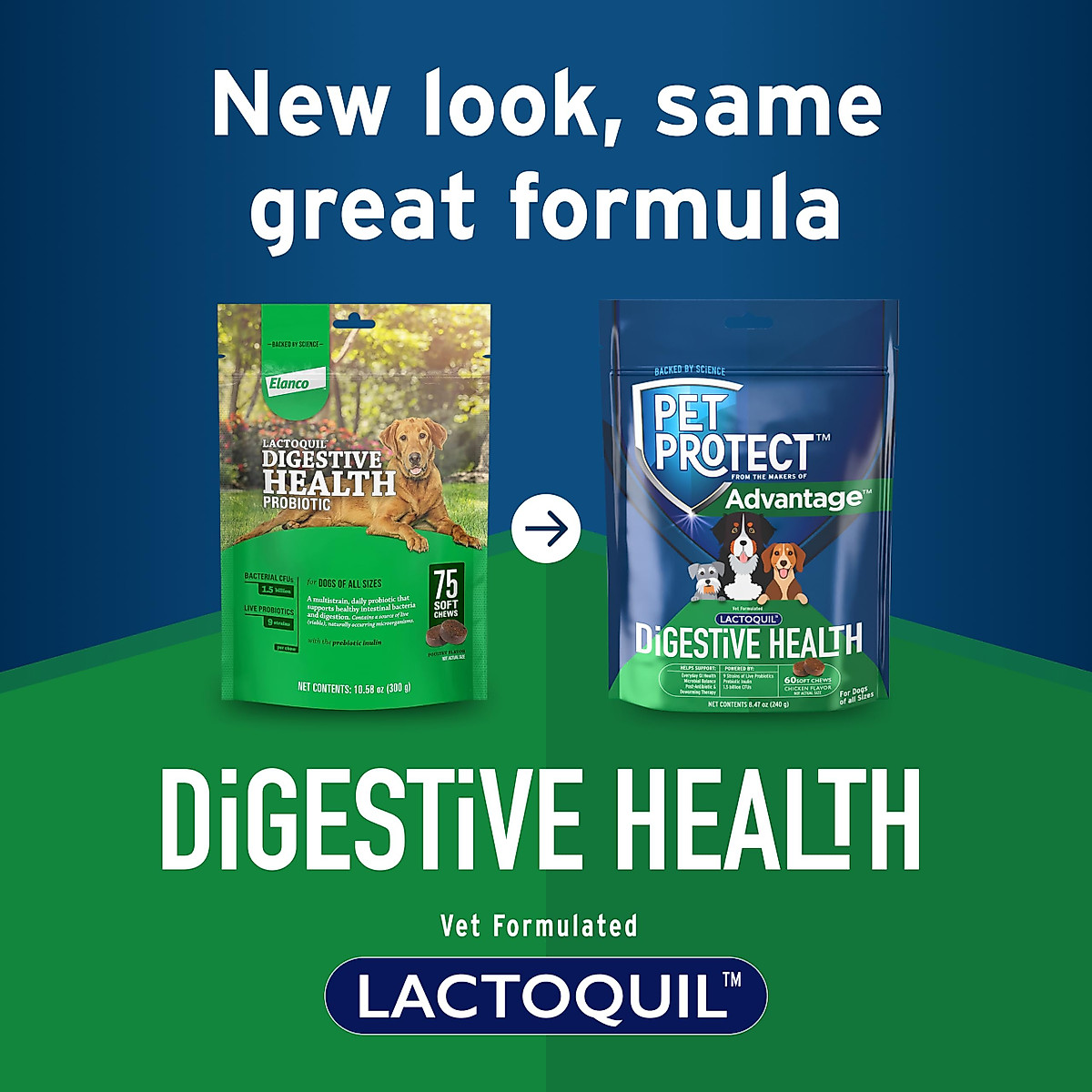 Bundle of Seresto Small Dog Collar for Dogs Under 18 lbs. + Pet Protect Dog Digestive Health Supplement 60 Chews