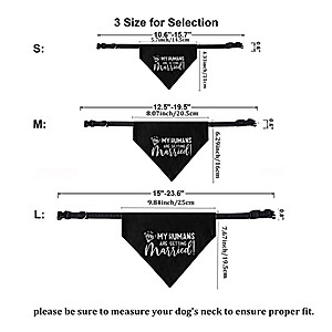 Engagement Gift, My Humans are Getting Married Dog Bandana Collar, Strong D-Ring for Easy Leash Attached Engagement Dog Bandana, Adjustable Dog Collar with Quick Release Buckle for Dogs Cats