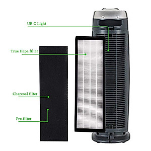 I clean Filter C Replacement Guardian FLT5250PT, Hepa Filter for FLT5000/FLT5111Series Air Purifiers AC5000, AC5000E, AC5350B, AC5300B Series(2 Pcs Hepa Filter C&6 Pcs Carbon Pre Filters