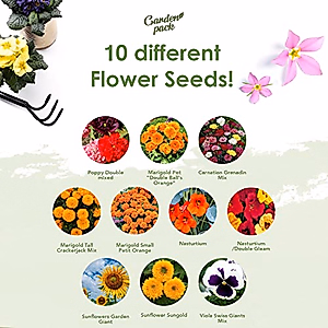 Grow Your Own Kit by Garden Pack - 100 Varieties of Vegetable, Herb and Flower Seeds - Gardening Gifts for Women and Men - Natural Wood Gift-Ready Box and Accessories