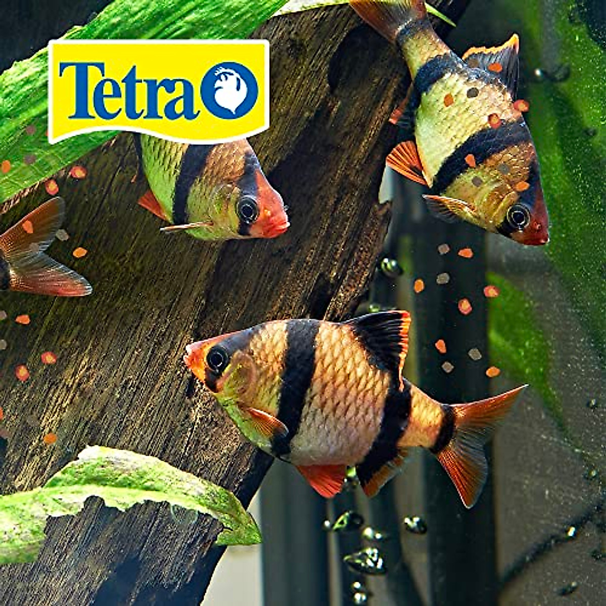 Tetra 77181 TetraFin Goldfish Crisps, 7.76-Ounce , 1-Liter