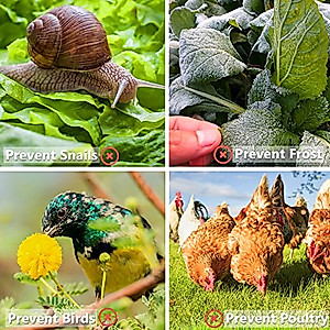 【24 Pack】 Garden Cloches for Plants, Multifunctional Plant Cover Plant Protectors Transparent Bell Jar Cloches Protection Plants from Birds, Slugs, Frost, Freeze Weather, 7.8" D x 9.4" H, Green