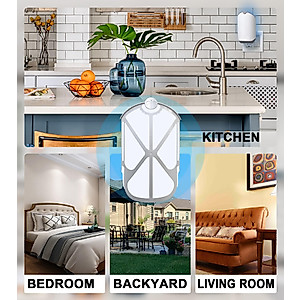 24 Pack Refill Cartridge Compatible with Zevo Flying Insect Trap Refill, Works with M364 M364A and Max