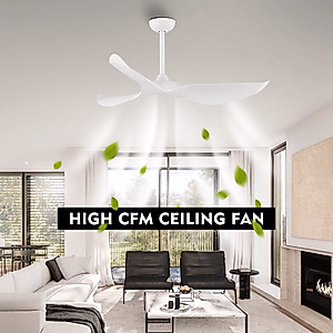 LEDLUX 52" Ceiling Fan no Light, 6 Speed Remote Control, Noiseless Reversible DC Motor, Modern 3 ABS Blades Ceiling Fan with 4.5"/12" Downrods for Bedroom/Living Room/Kitchen White