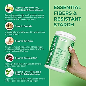 Boost Biome Fiber Supplement Organic Super Greens Powder – Supports Bloating Relief, Gut Health, Leaky Gut with Resistant Starch Powder - Green Banana Flour, Oat, Black Bean (30 Days, Vanilla)