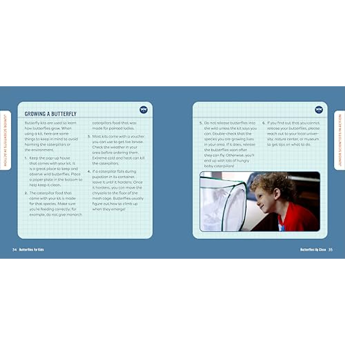 Butterflies for Kids: A Junior Scientist's Guide to the Butterfly Life Cycle and Beautiful Species to Discover