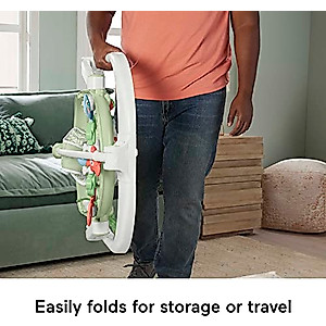 Fisher-Price Baby Bouncer Spacesaver Jumperoo Activity Center With Lights Sounds And Folding Frame, Puppy Perfection