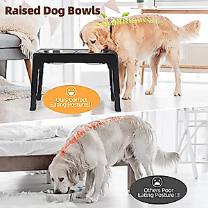 PANZZDA Elevated Dog Bowls Adjustable Raised Stand with Double Stainless Steel Food Bowls Adjusts to 4 Heights 3.1”, 8.6”, 10.2”, 11.8”, for Small Medium Large Dogs and Pets