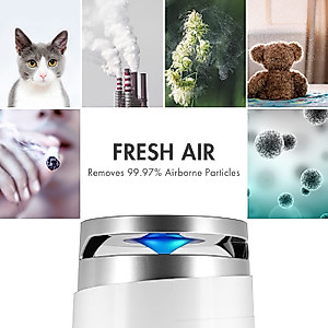 Tenergy H13 Grade Hepa Replacement Filter for Tenergy Renair Air Purifier, Single Filter